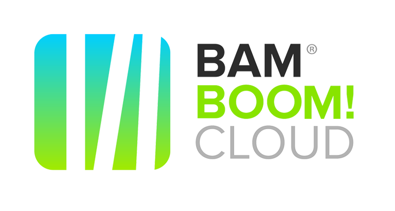 Buy Microsoft Dynamics 365 Business Central online with Bam Boom Cloud ...